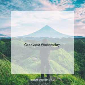 27 best happy Wednesday ideas | slogans with images