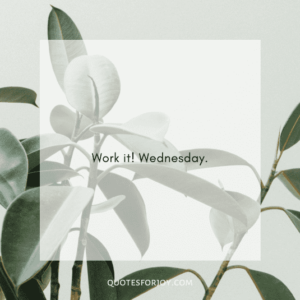 27 best happy Wednesday ideas | slogans with images