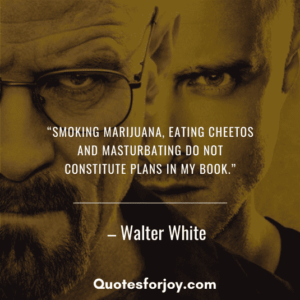 27 Remarkable Breaking bad quotes | With Images