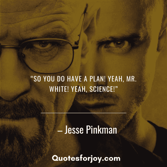 27 Remarkable Breaking bad quotes | With Images