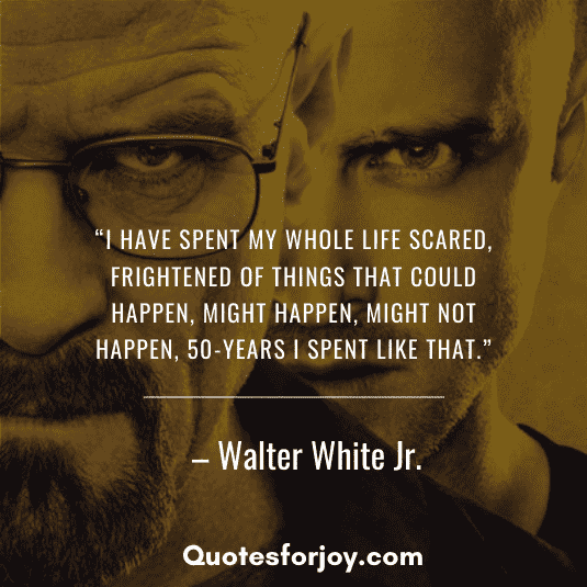 27 Remarkable Breaking bad quotes | With Images