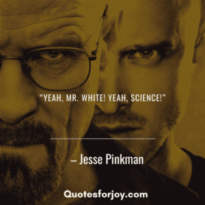27 Remarkable Breaking bad quotes | With Images