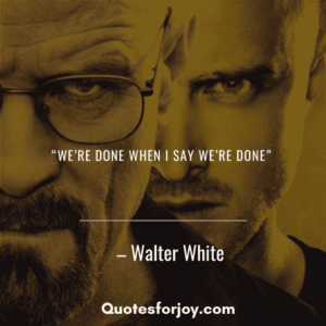 27 Remarkable Breaking bad quotes | With Images