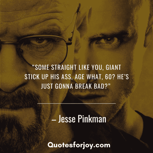 27 Remarkable Breaking bad quotes | With Images