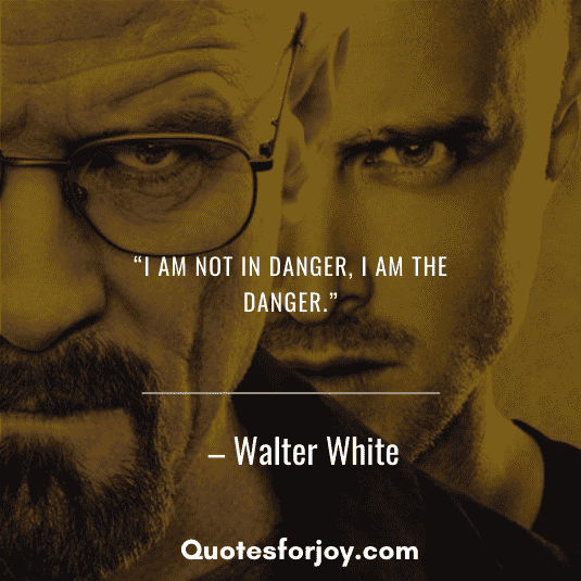 27 Remarkable Breaking bad quotes | With Images