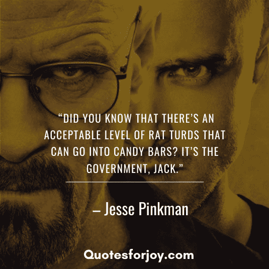 27 Remarkable Breaking bad quotes | With Images