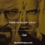 27 Remarkable Breaking bad quotes | With Images