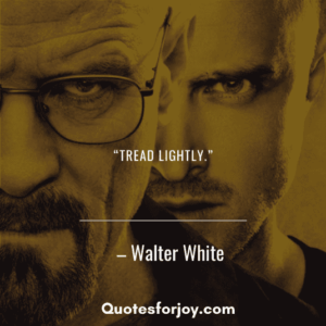 27 Remarkable Breaking bad quotes | With Images