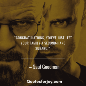 27 Remarkable Breaking bad quotes | With Images