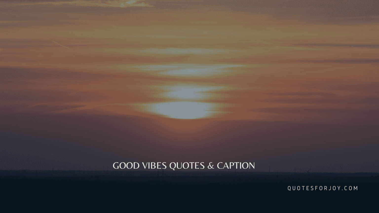 50 My favourite step brothers quotes & one liner with images